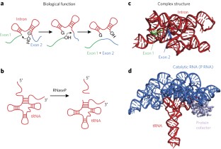 Progress and challenges for chemical probing of RNA structure inside ...