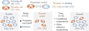 Toxin-antitoxin systems in bacterial growth arrest and persistence ...