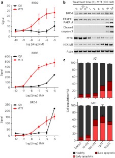 Design and characterization of bivalent BET inhibitors | Nature ...