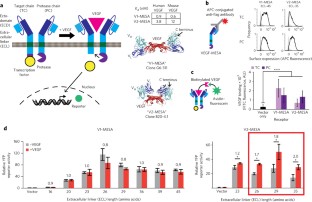 Rewiring human cellular input–output using modular extracellular ...