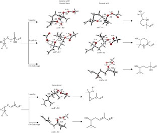 Enzyme-catalyzed cationic epoxide rearrangements in quinolone alkaloid ...