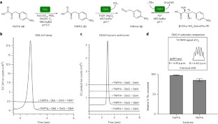 β-Lactone formation during product release from a nonribosomal peptide ...