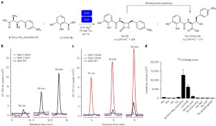 β-Lactone formation during product release from a nonribosomal peptide ...