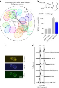 Functional annotation of chemical libraries across diverse biological ...