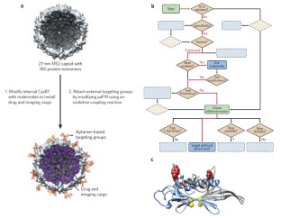 Choosing an effective protein bioconjugation strategy | Nature Chemical ...