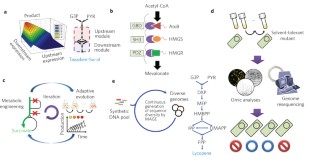 Systems metabolic engineering of microorganisms for natural and non ...