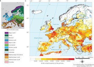 Adverse weather conditions for European wheat production will become ...