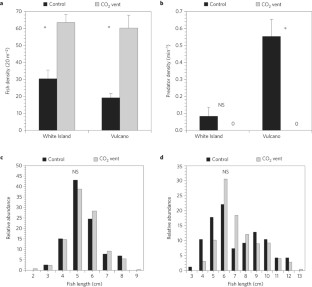 Ocean acidification alters fish populations indirectly through habitat ...