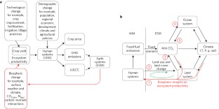 Biospheric feedback effects in a synchronously coupled model of human ...