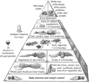 The 2005 Food Guide Pyramid: an opportunity lost? | Nature Reviews ...