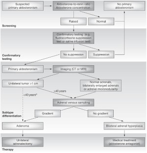 Primary aldosteronism: current knowledge and controversies in Conn's ...