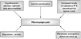 Mechanisms of Disease: pain in fibromyalgia syndrome | Nature Reviews ...