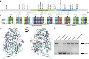 Exome sequencing identifies somatic mutations of DDX3X in natural ...