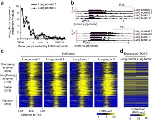 Broad H3K4me3 is associated with increased transcription elongation and ...
