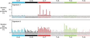 Clock-like mutational processes in human somatic cells | Nature Genetics