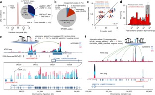 Fine-mapping cellular QTLs with RASQUAL and ATAC-seq | Nature Genetics