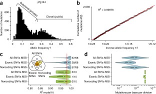 Identification of neutral tumor evolution across cancer types | Nature ...