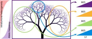 Identification of neutral tumor evolution across cancer types | Nature ...