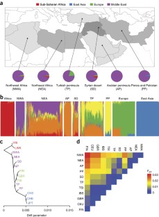 Characterization of Greater Middle Eastern genetic variation for enhanced disease gene discovery ...