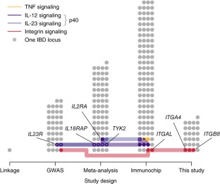 Genome-wide association study implicates immune activation of multiple ...