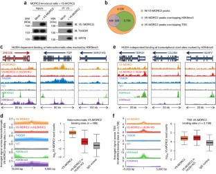 Hyperactivation of HUSH complex function by Charcot–Marie–Tooth disease ...