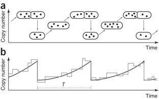 Non-genetic heterogeneity from stochastic partitioning at cell division ...