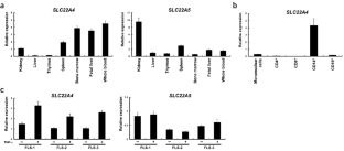 An intronic SNP in a RUNX1 binding site of SLC22A4 , encoding an ...