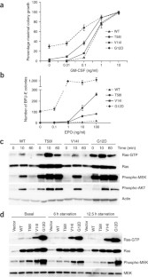 Germline KRAS mutations cause Noonan syndrome | Nature Genetics