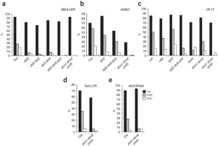 Dissecting Arabidopsis thaliana DICER function in small RNA processing ...