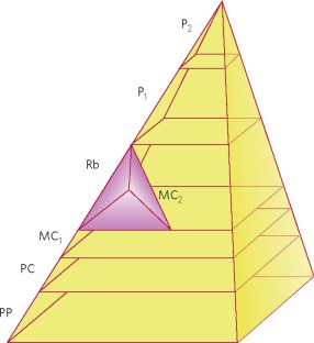 The timing and pattern of biotic recovery following the end-Permian ...