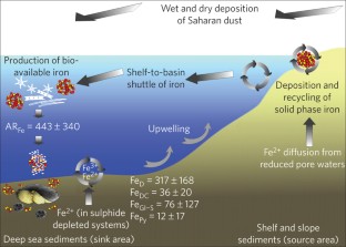 Substantial iron sequestration during green-clay authigenesis in modern ...