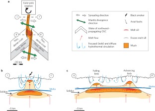 Segmentation of mid-ocean ridges attributed to oblique mantle ...