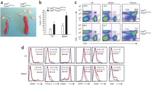 Runx-CBFβ complexes control expression of the transcription factor Foxp3 in regulatory T cells ...