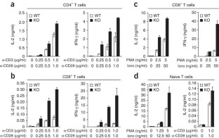 The ubiquitin ligase Peli1 negatively regulates T cell activation and ...