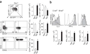 The transcriptional regulators Id2 and Id3 control the formation of ...