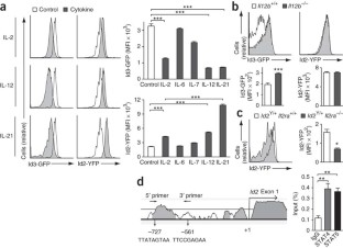 The transcriptional regulators Id2 and Id3 control the formation of ...