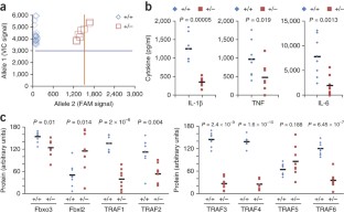 A combinatorial F box protein directed pathway controls TRAF adaptor ...