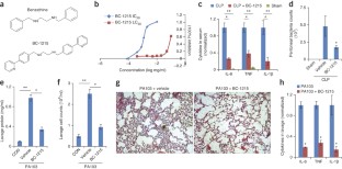 A combinatorial F box protein directed pathway controls TRAF adaptor ...