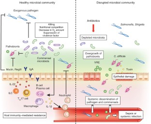 Control of pathogens and pathobionts by the gut microbiota | Nature ...
