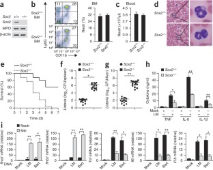Sox2 functions as a sequence-specific DNA sensor in neutrophils to ...
