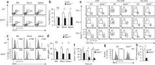 Batf3 maintains autoactivation of Irf8 for commitment of a CD8α ...