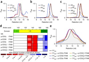 T cell receptor dwell times control the kinase activity of Zap70 ...