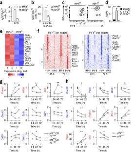 Regulation of bifurcating B cell trajectories by mutual antagonism ...