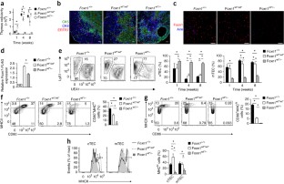 Foxn1 regulates key target genes essential for T cell development in ...