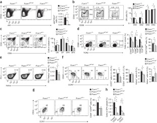 Foxn1 regulates key target genes essential for T cell development in ...