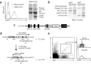 Transcription factor IRF4 controls plasma cell differentiation and ...