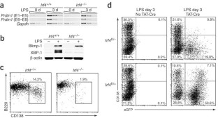 Transcription factor IRF4 controls plasma cell differentiation and ...