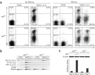 Transcription factor IRF4 controls plasma cell differentiation and ...