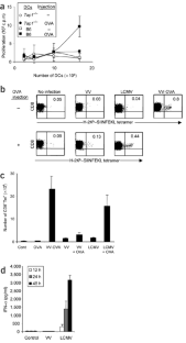 Cross-priming of CD8 + T cells stimulated by virus-induced type I ...