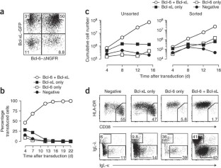 Generation of stable monoclonal antibody–producing B cell receptor ...